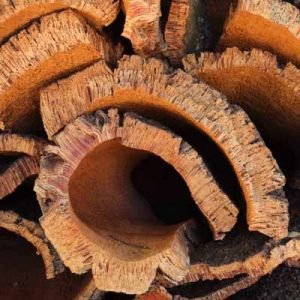 Sobre el corcho: conozca las características del corcho y su recolección
